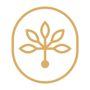 CFC — Georgia Baptist Foundation